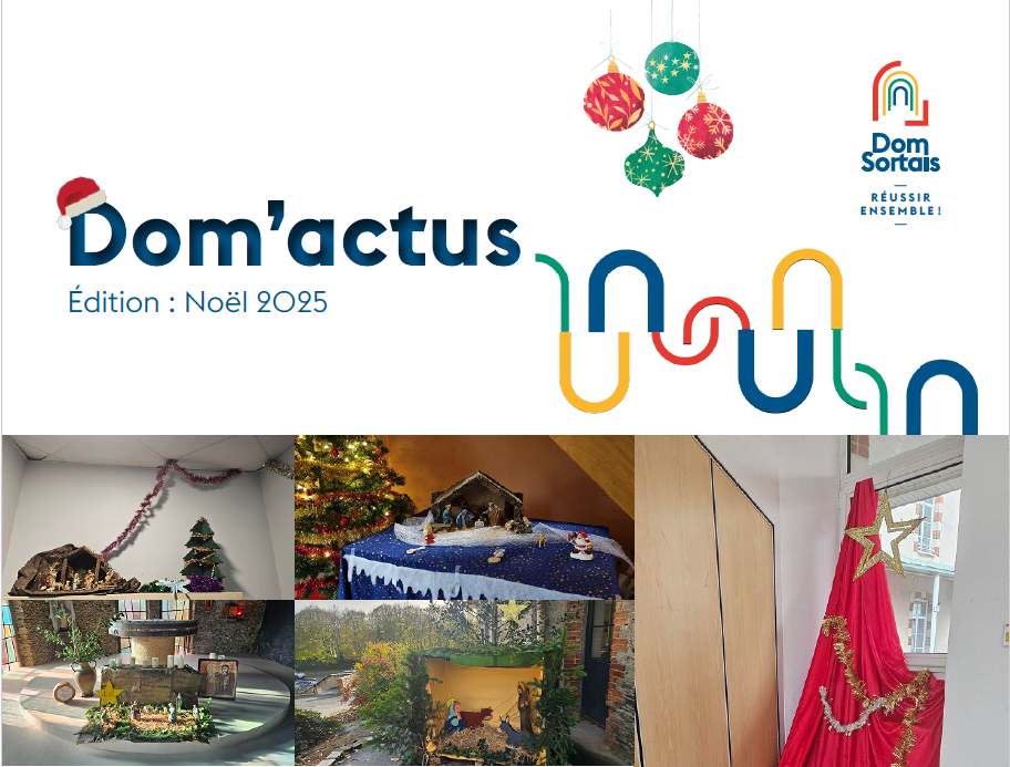 Newsletter Noël | DOM SORTAIS